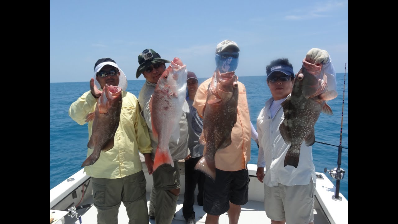 deep sea grouper charter fishing boat 대물 다금바리낚시. 4명이 동시에... 방게 애인낚 AIFC ...
