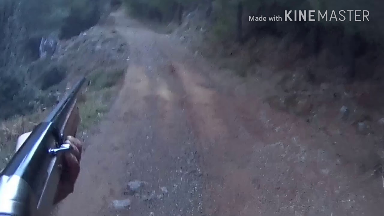 ΣΥΝΑΡΠΑΣΤΙΚΟ ΚΥΝΗΓΙ ΛΑΓΟΥ *ΡΟΥΜΠΗΣ* Hare hunting in Greece - YouTube