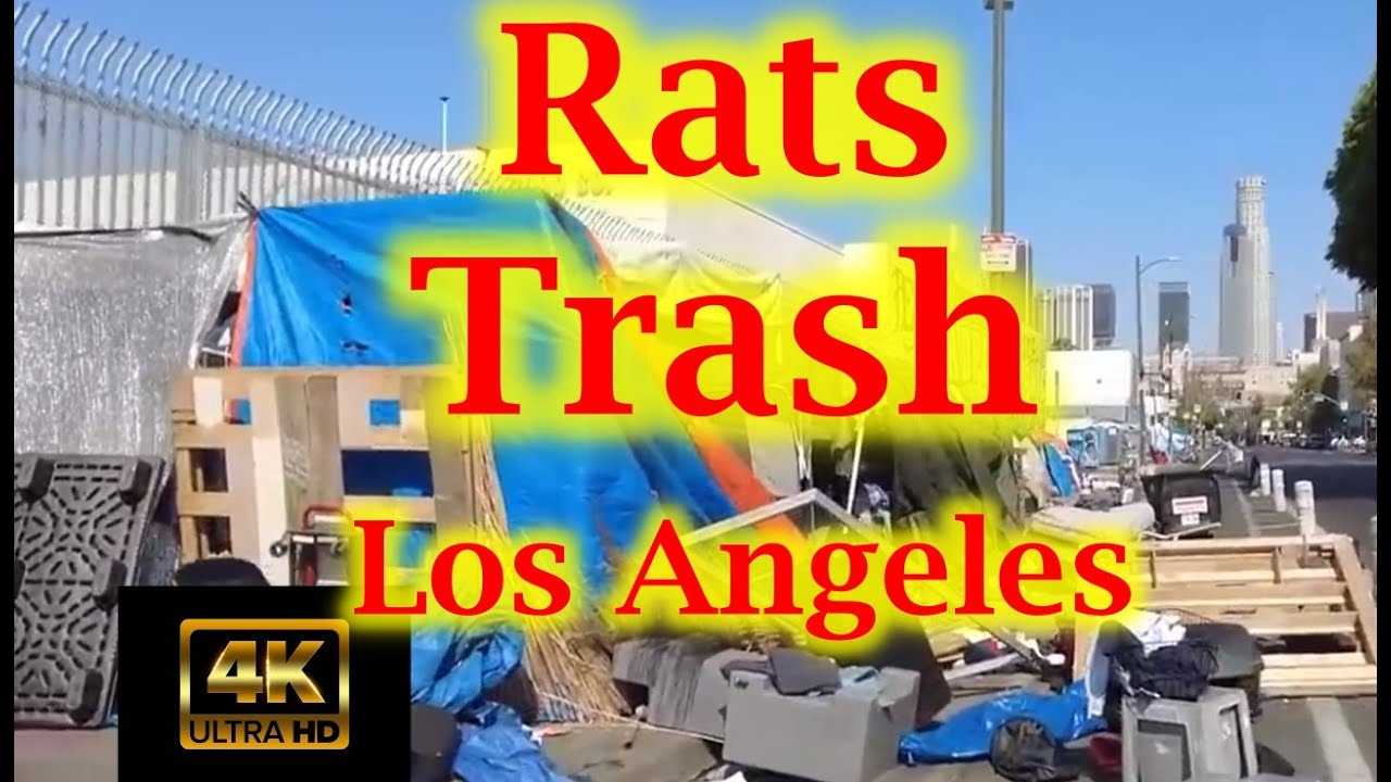 Rats Trash Homeless Downtown Los Angeles Skid Row Encampments - YouTube