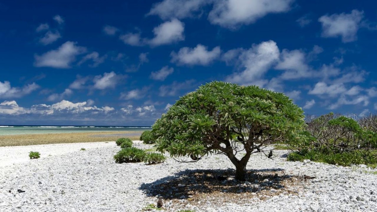 3B7A Saint Brandon Islands. From dxnews.com - YouTube