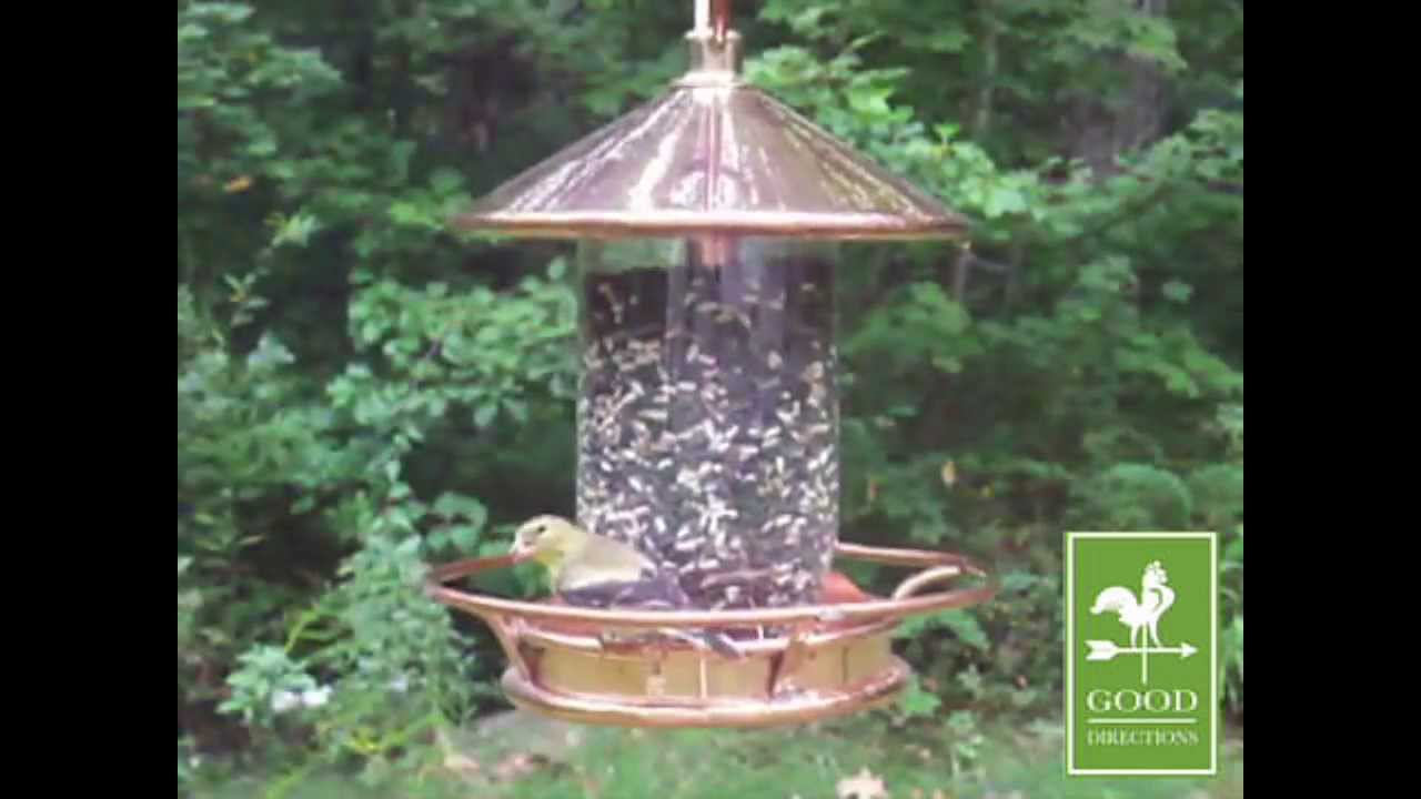 Good Directions Classic Perch Bird Feeder 112P - Polished Copper - YouTube