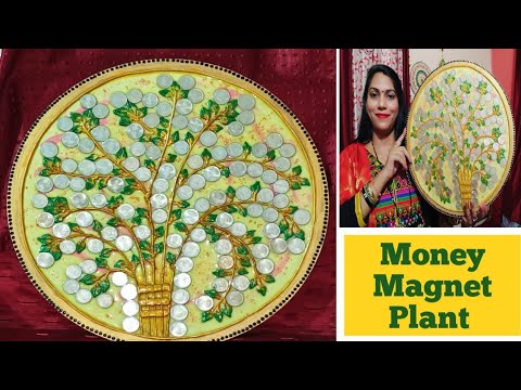 Money Magnet Plant / Money Tree / Money Attracting Tree 🌲 Money magnet ...