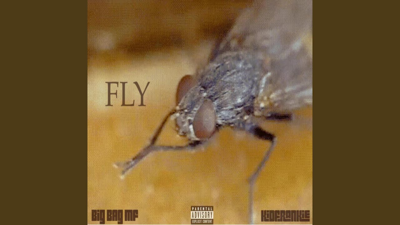 Fly (feat. KingGodKiddFrankie) - YouTube