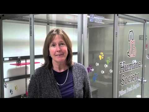 Great results with Kitty Corral! - YouTube