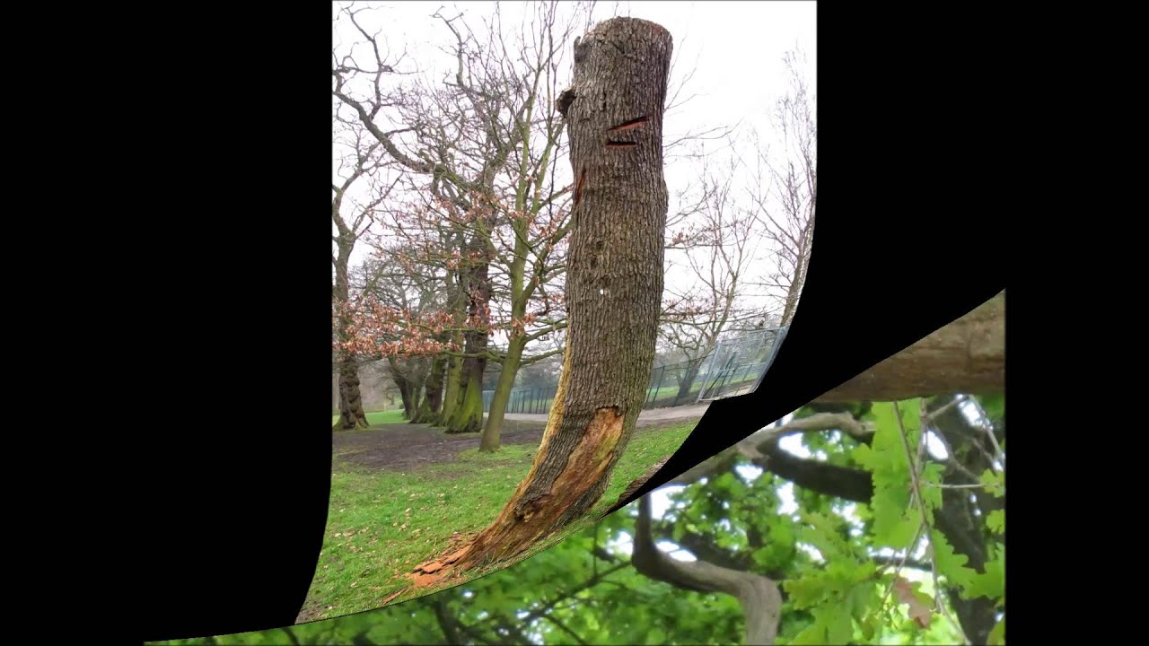 Natural fracture & coronet pruning - YouTube