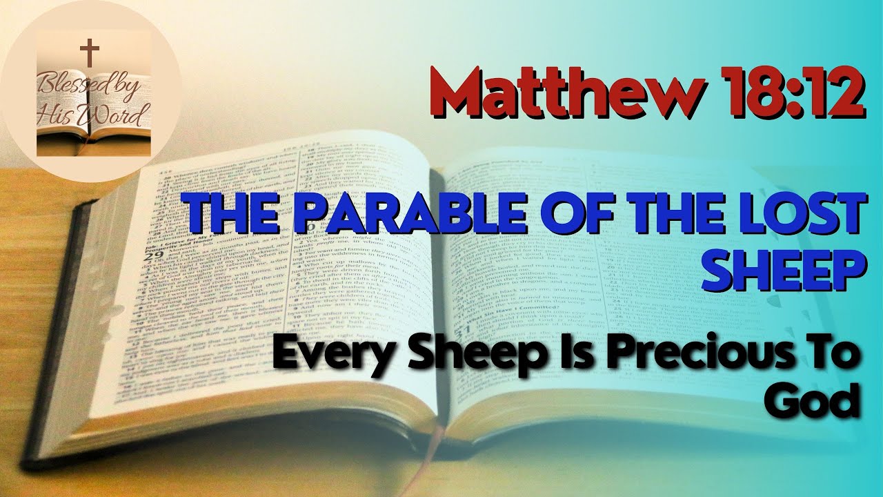 The Parable Of The Lost Sheep | Matthew 18:12 | Verse Of The Day ...