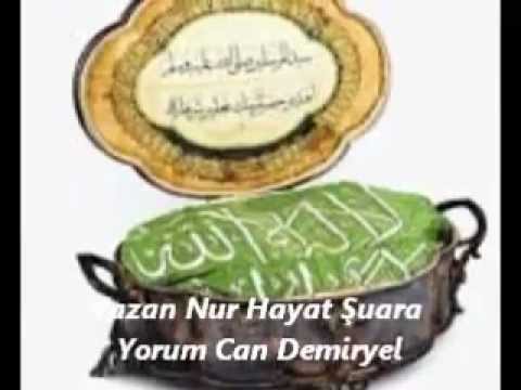 Nur Hayat Şuara - Düşünce Siz