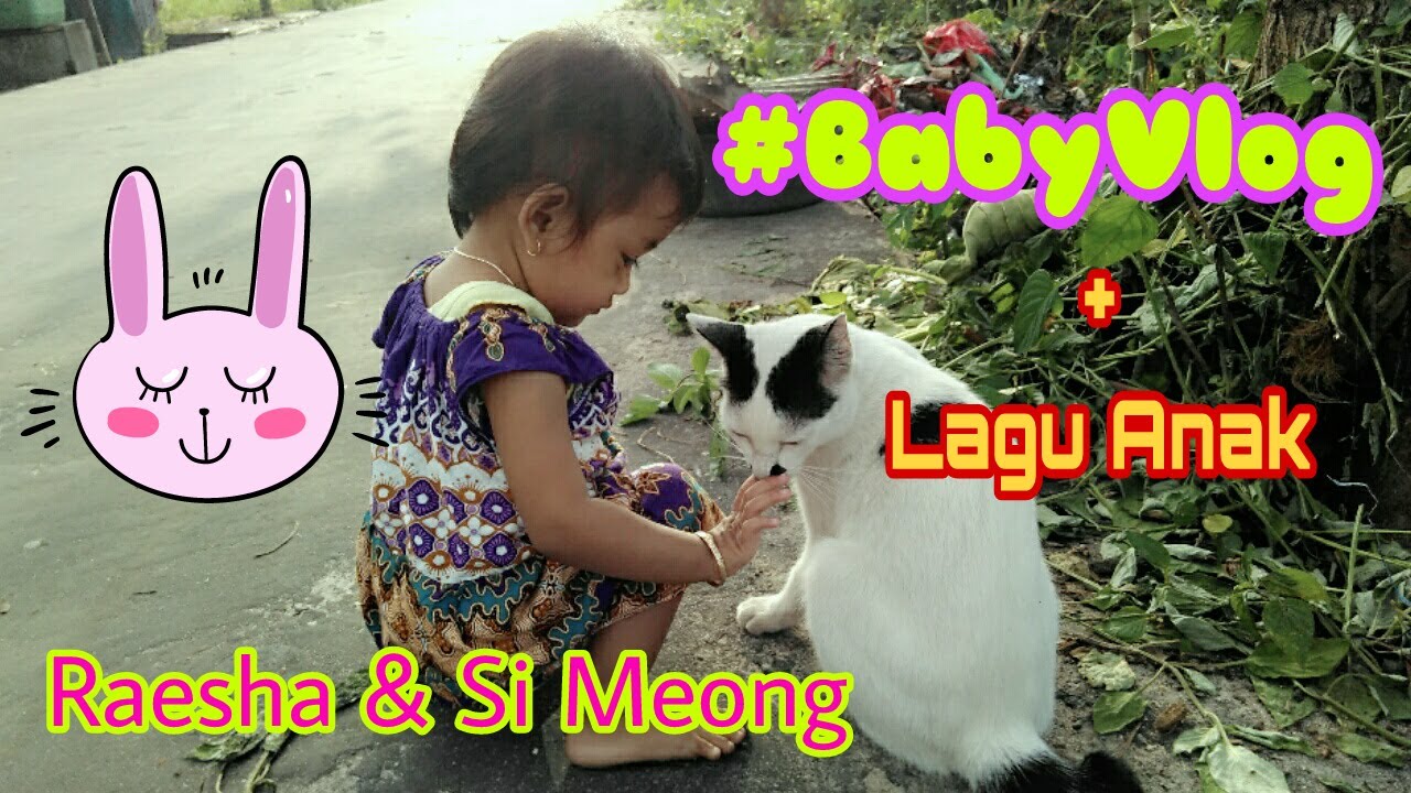 Lagu Anak Si Meong | Baby Raesha main sama Kucing lucu - YouTube