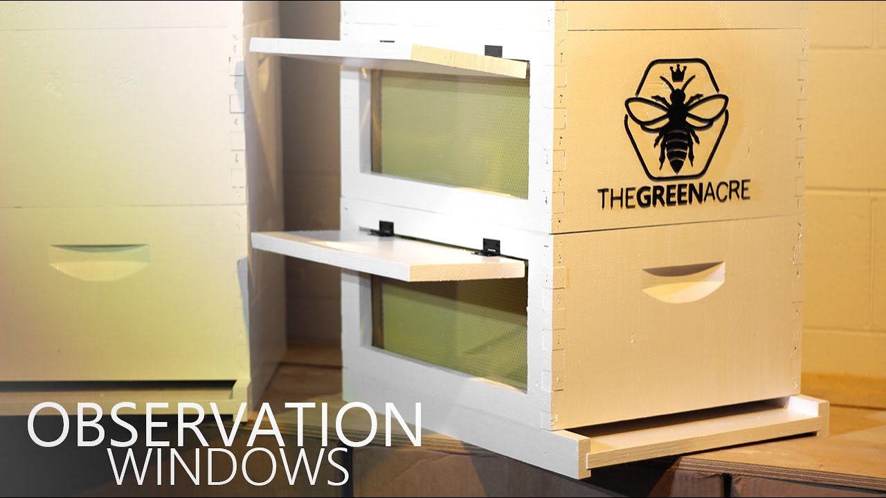 DIY Bee Hive Observation Windows | The Green Acre - YouTube