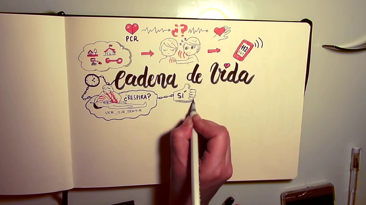 Cadena de Vida - RCP - Primeros auxilios - Soporte Vital Básico - YouTube