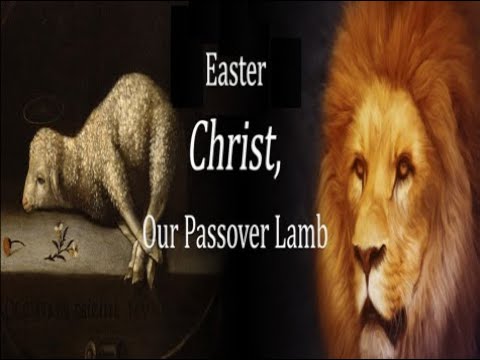 The Passover Lamb of God Saved By The Blood of Jesus Christ - YouTube