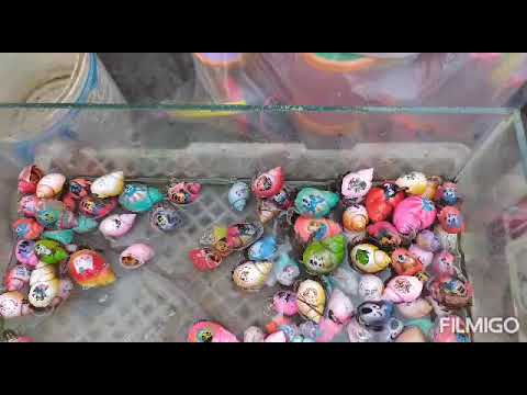Kelomang darat hermit crab adalah binatang lucu penghuni pulau dan ...