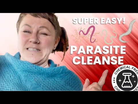 Parasite Cleansing using easy methods DE damiatomaceous earth pimpkin ...