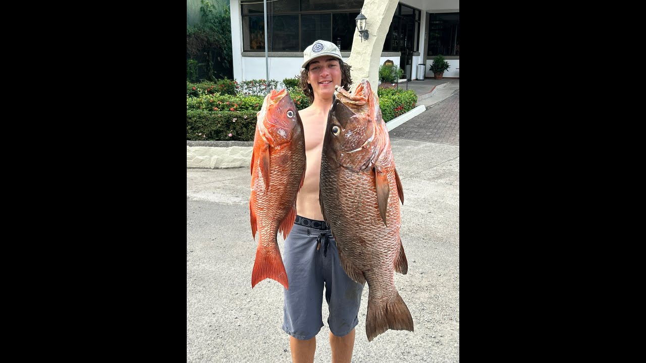 Spearfishing Costa Rica 44LB CUBERA SNAPPER (PARGO) - YouTube