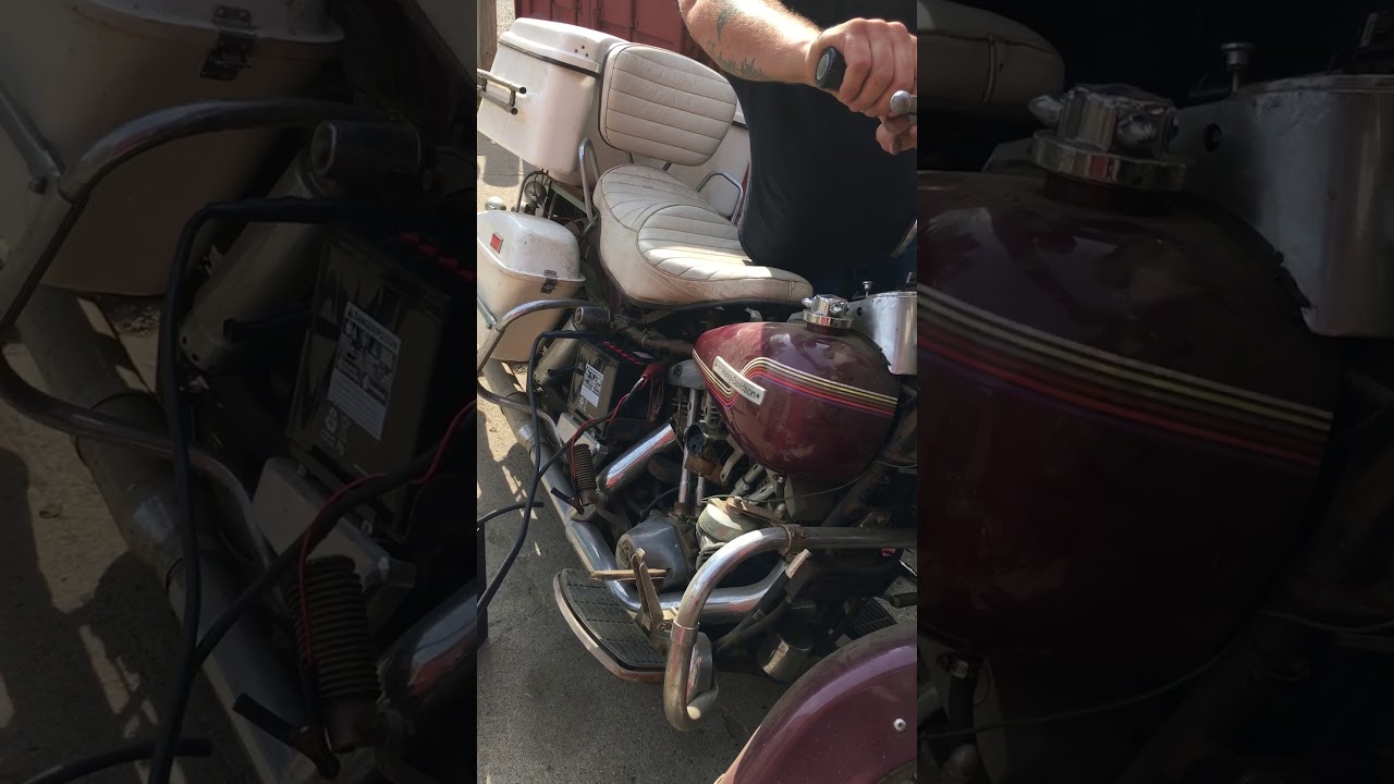 Hog riding fool! - YouTube