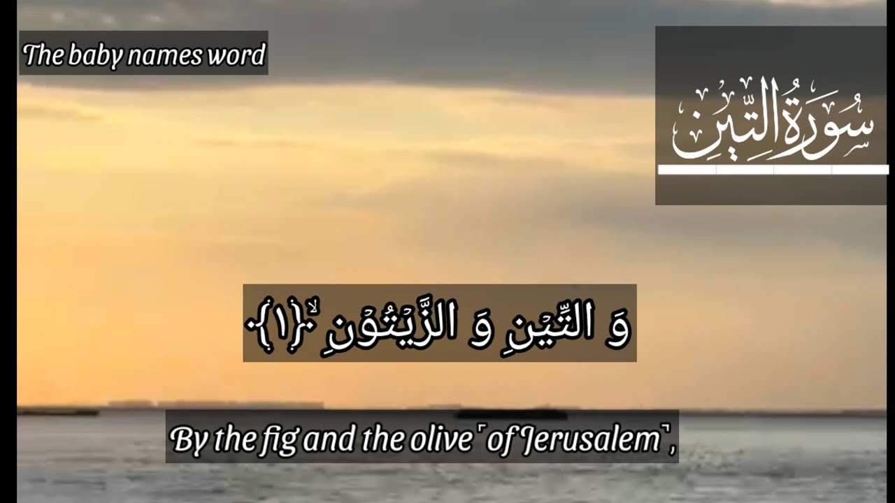 Surah wateen ️ || surah watini wazitun #sarahwateen - YouTube
