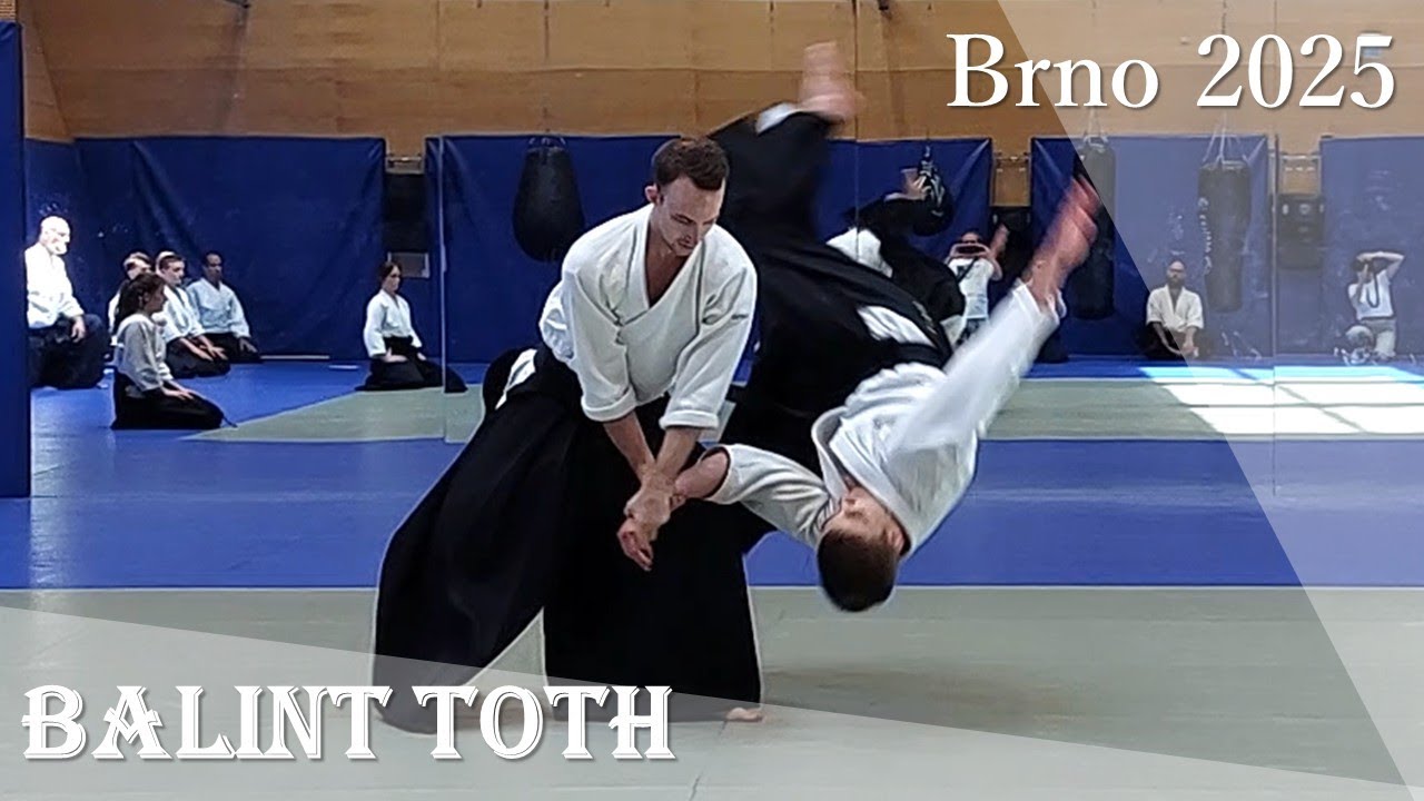 Brno Aikido Embukai Training 2025 - Balint Toth - YouTube