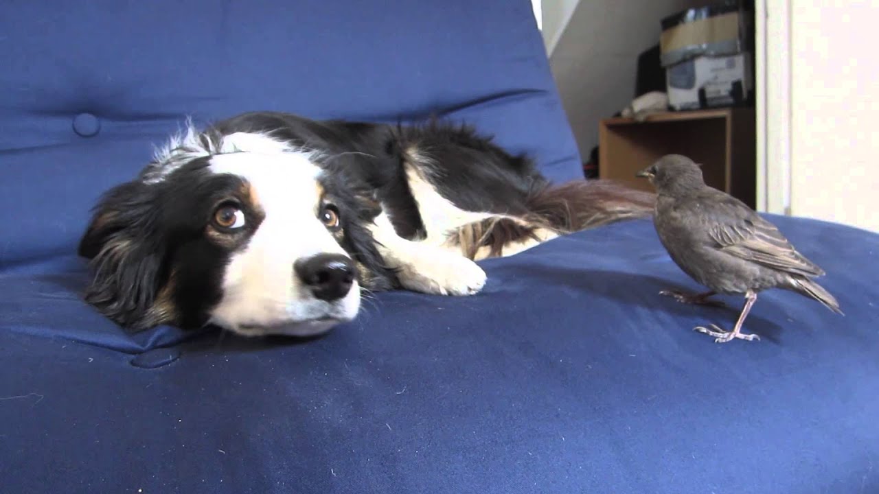 Joe Starlin n Meg... - YouTube