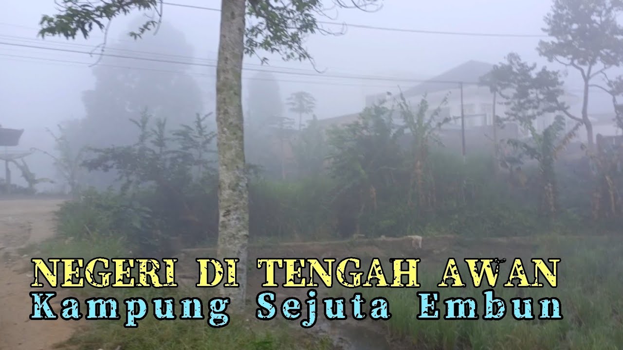 pagi ini suhu dingin semakin ekstrim di Kampung Sejuta Embun - YouTube