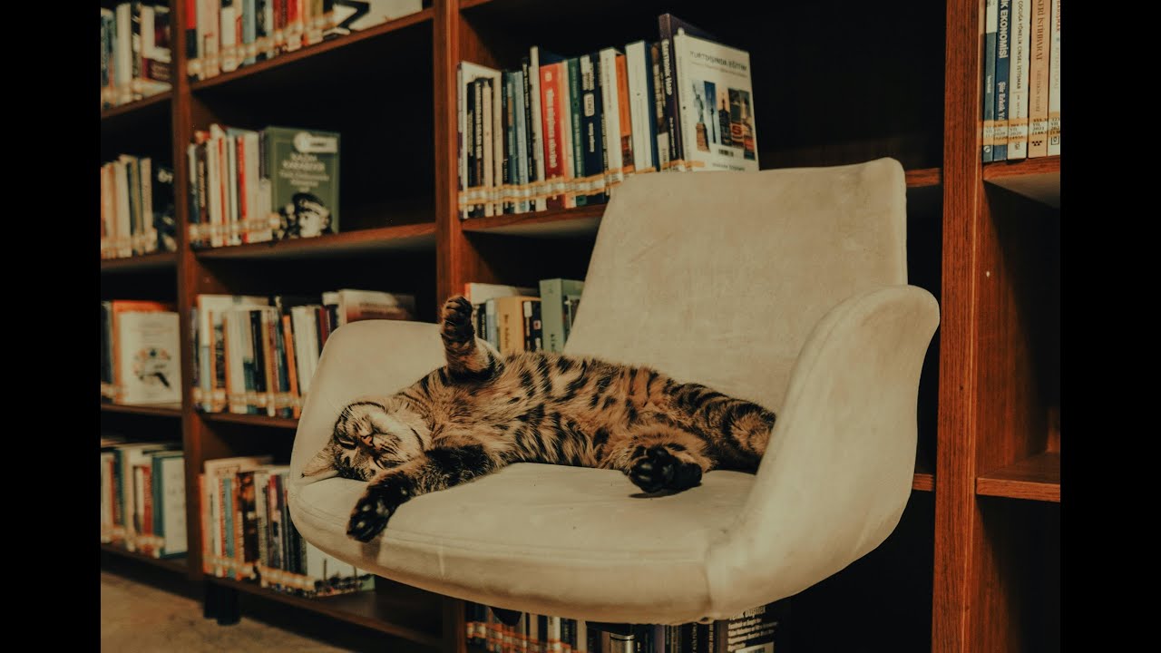 Simple Photography for Libraries - YouTube