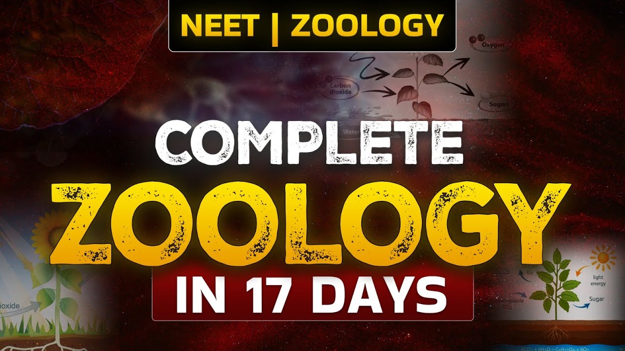 Complete Zoology in 17 days | NEET Zoology Sankalp - YouTube