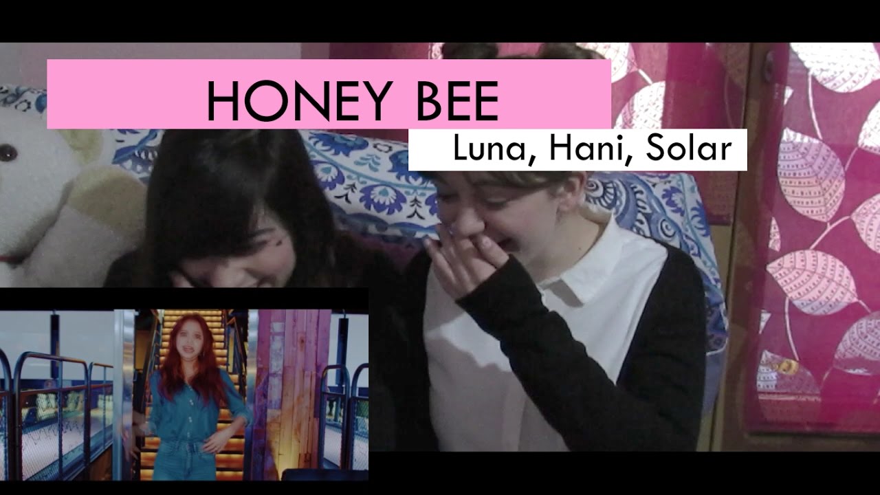 Luna Hani Solar Honey Bee Mv Reaction Youtube