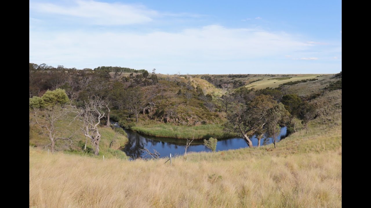 Rare native grasslands on Victoria's volcanic plains... - YouTube