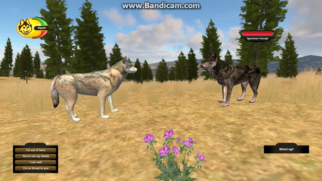 WolfQuest AMD: Part 2 - YouTube