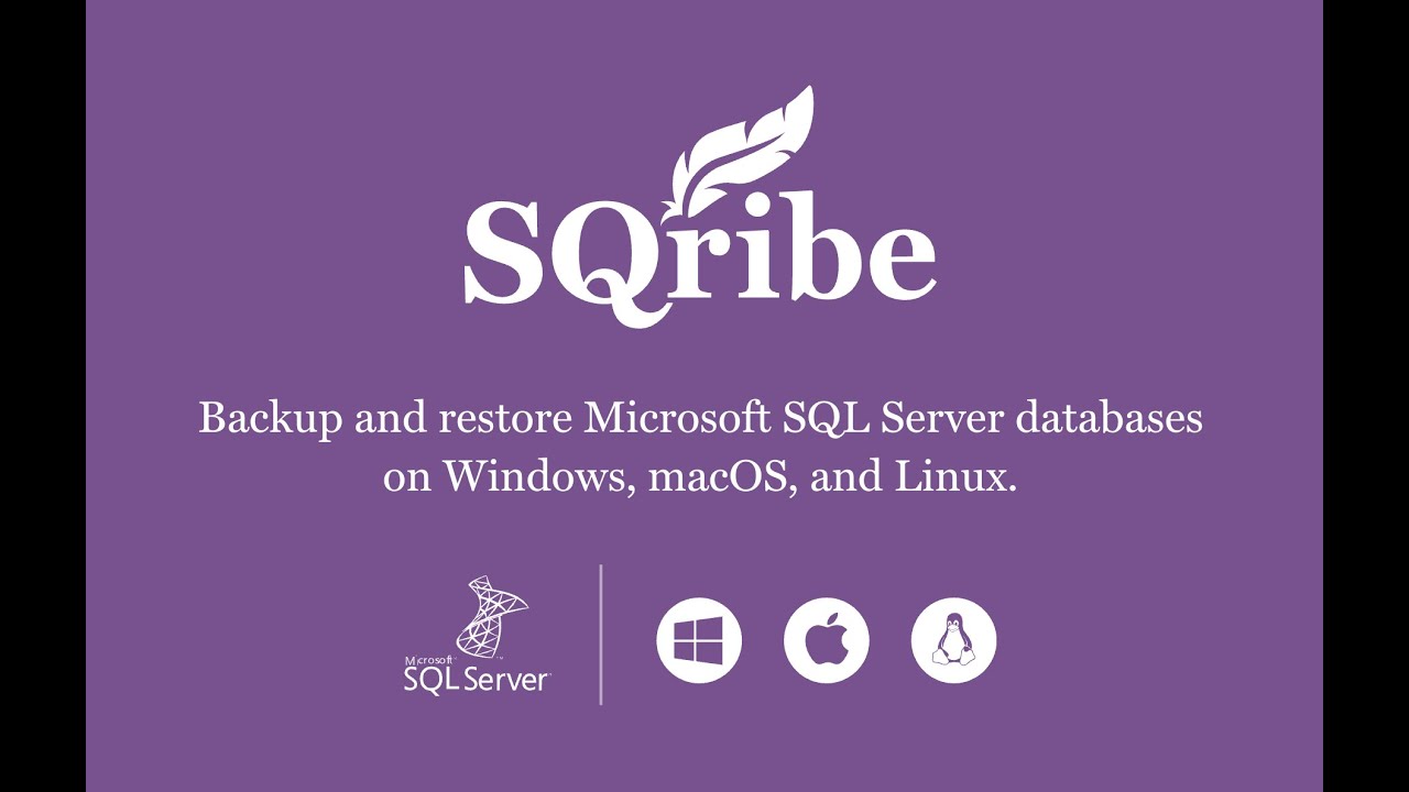 SQribe for SQL Server Overview - YouTube