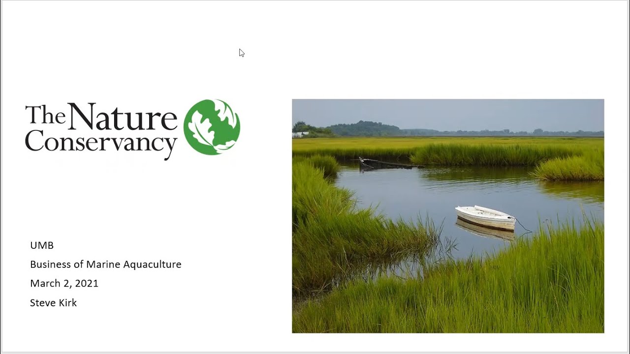 SFE Steve Kirk: The Nature Conservancy - YouTube