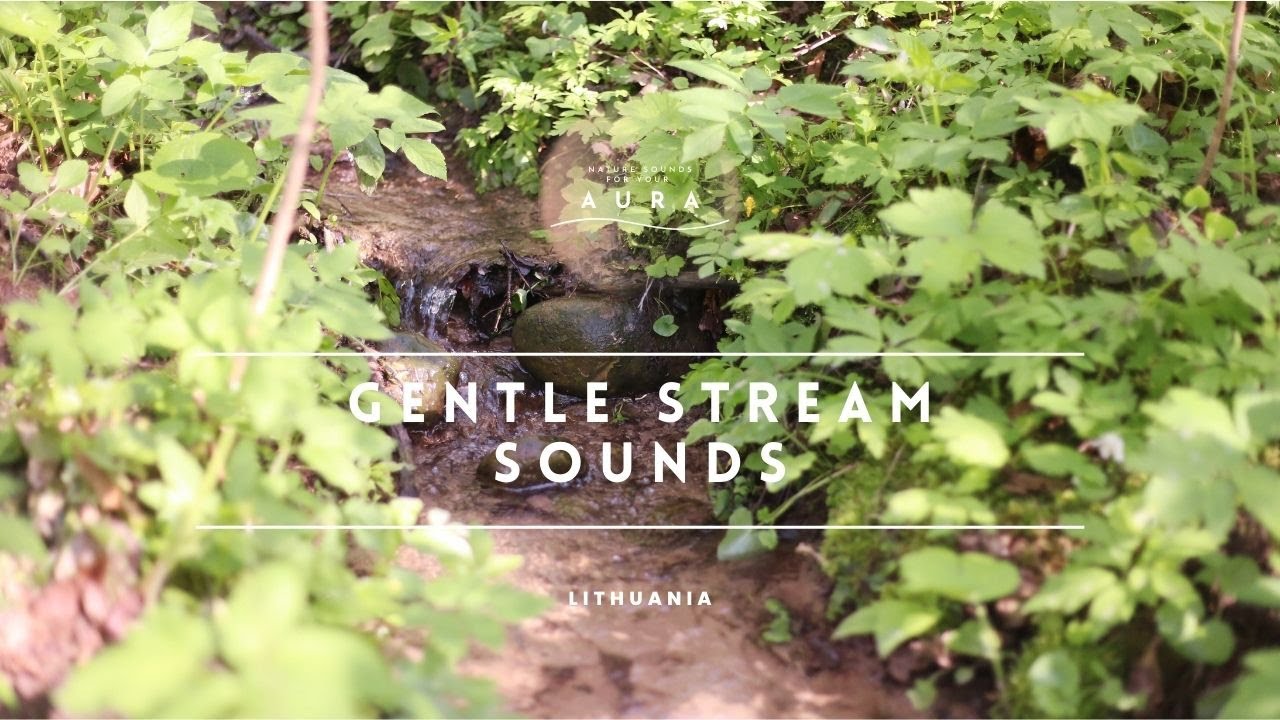 Gentle stream sounds - Peaceful Forest River - HD 1080p - Nature Video ...