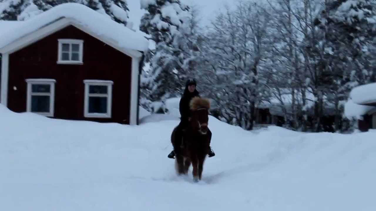 2/2 13, Gormur - YouTube