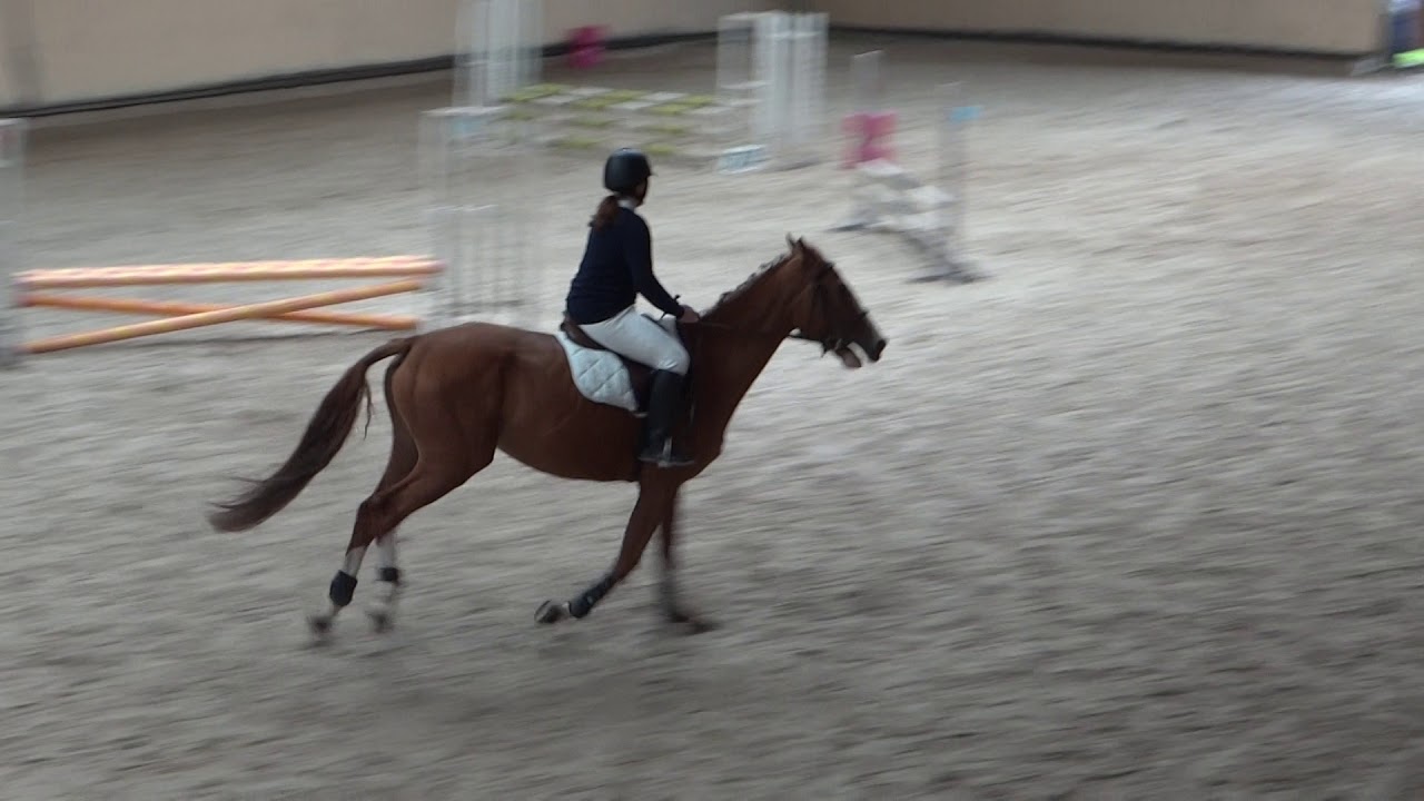 Delphine et Barbie -Club 4 - CSO Eperon 17.09.2017 - YouTube