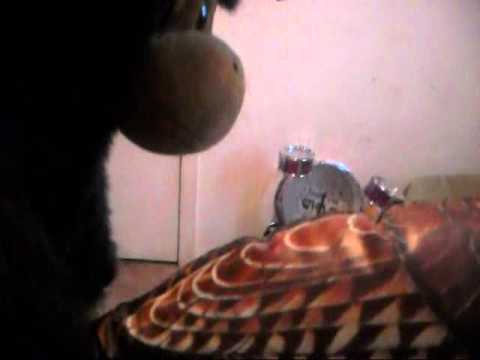 Bikini Party Summer 5(OFFICIAL TRAILER).wmv