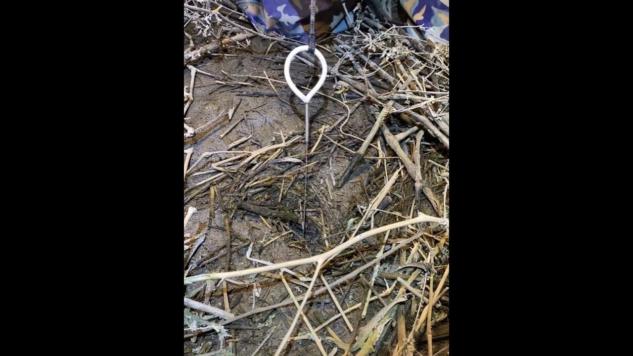 Eel fishing -Catch Eels From Hole Using Hook EP2 - YouTube