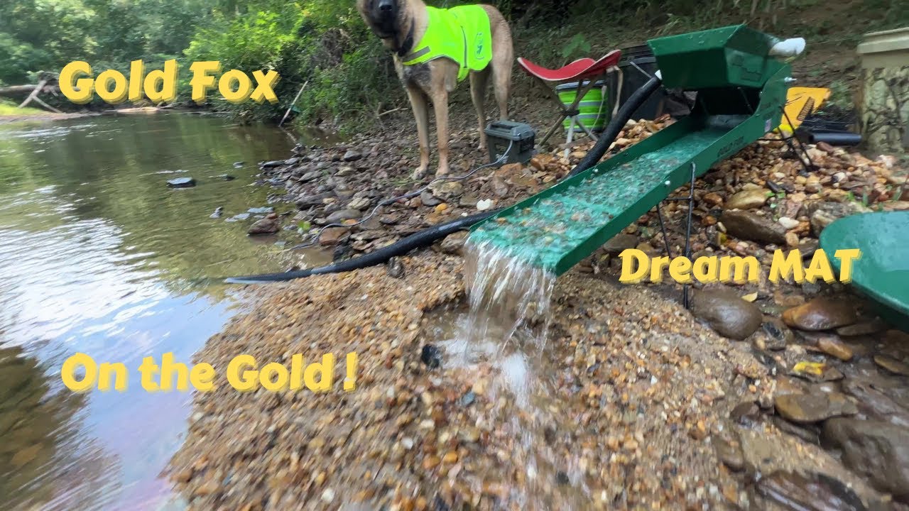 Gold Fox with Dream Mat combo , On the Gold ! - YouTube