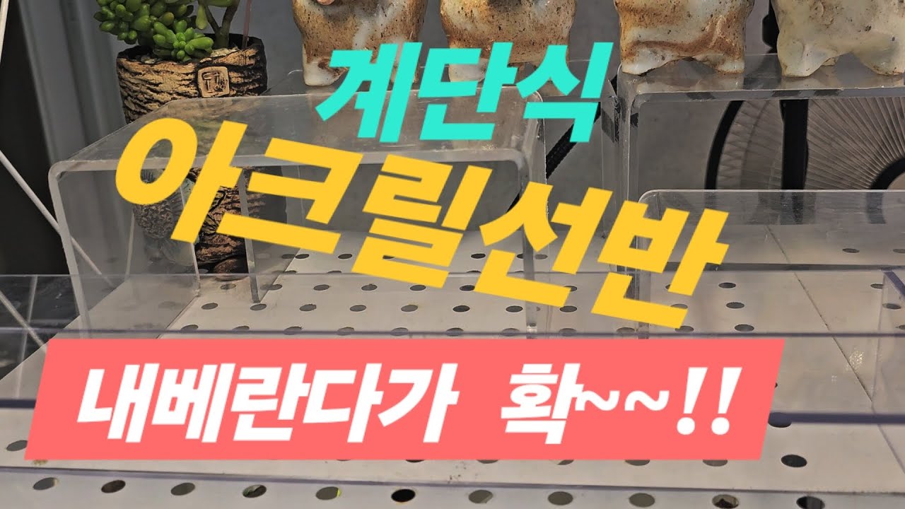 다육이랑룰루랄라 아크릴선반베란다초보다육깔끔 해진 내베란다 다육 이가 한눈에 쏘~~옥 Youtube