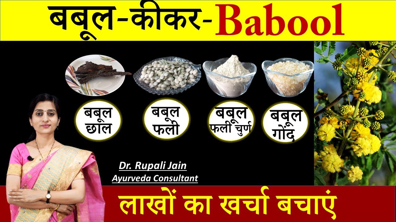 Amazing Health Benefits of बबूल- कीकर (Babool) || सही आयुर्वेदिक ...