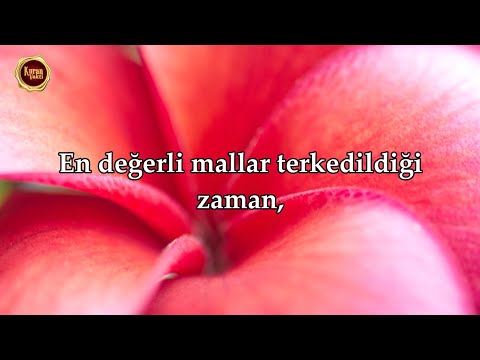 Tekvir Suresi - Ahmed Khedr