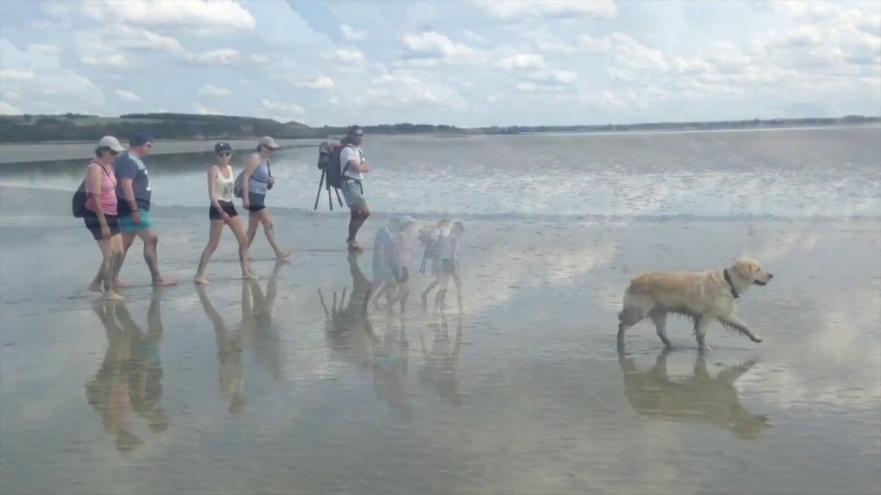 Sables mouvants au Mont Saint-Michel - YouTube