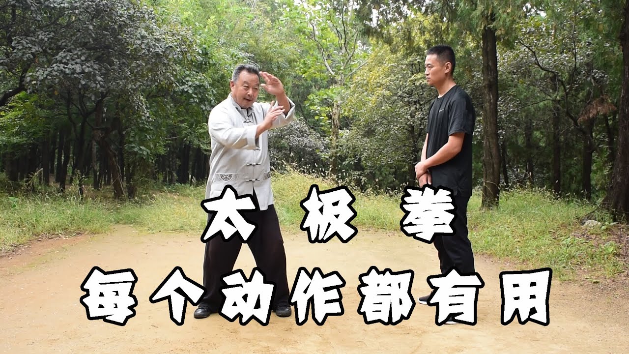老前辈讲:太极拳没有虚招。老庞老师告诉你每个动作怎么用。taichi Youtube