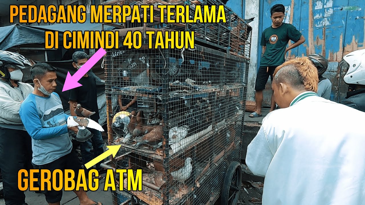 Pedagang Merpati Memakai Gerobag Bawah Fly Over Cimindi - YouTube