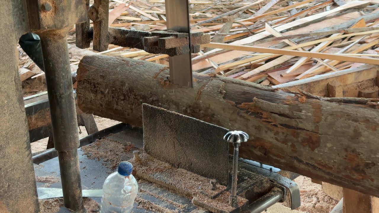 Mastering the Art of Sawing Wood, Expert Techniques to Improve Skills ...