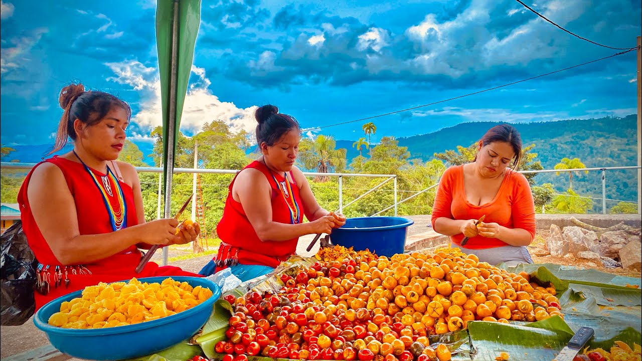 Ritual de la Chonta o “Uwi ijiamtamu” - YouTube
