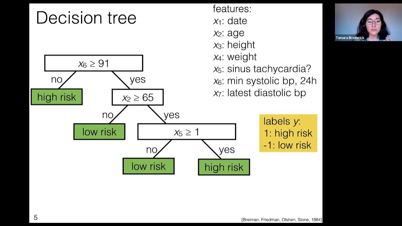 MIT: Machine Learning 6.036, Lecture 12: Decision trees and random ...