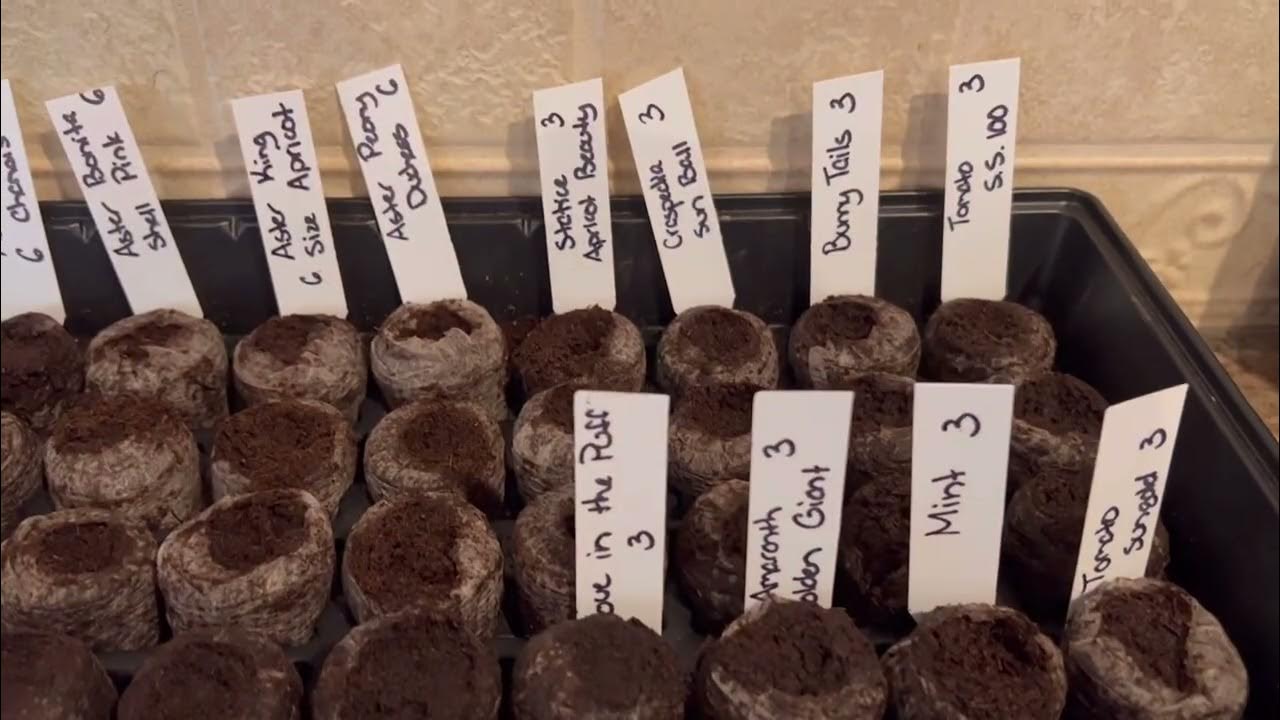 Zone 6b Seed Starting - YouTube
