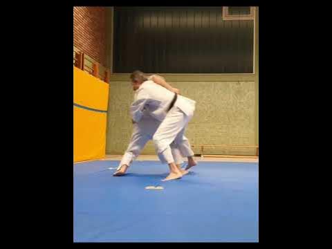 Judo/Beautiful Throws/Эффективные Броски/#Shorts - YouTube