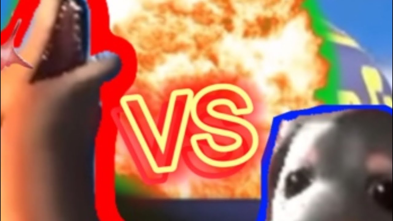 YTP: Dog of Wisdom VS Gen Z Doggo (WHIP INVOLVED!!1!1!1) - YouTube