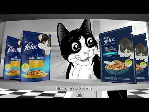 Her Gün Felix Varsa Kedi Olmak Bir Harika!