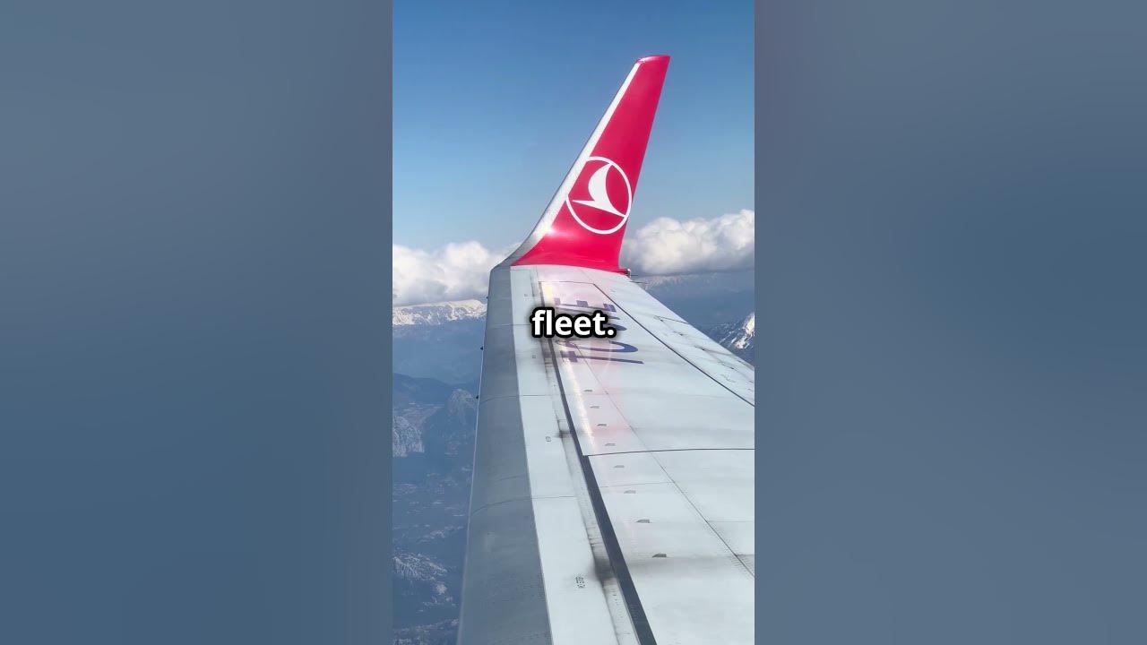 The Rise and Fall of AirBerlin #aviation #airberlin #avgeek #history - YouTube